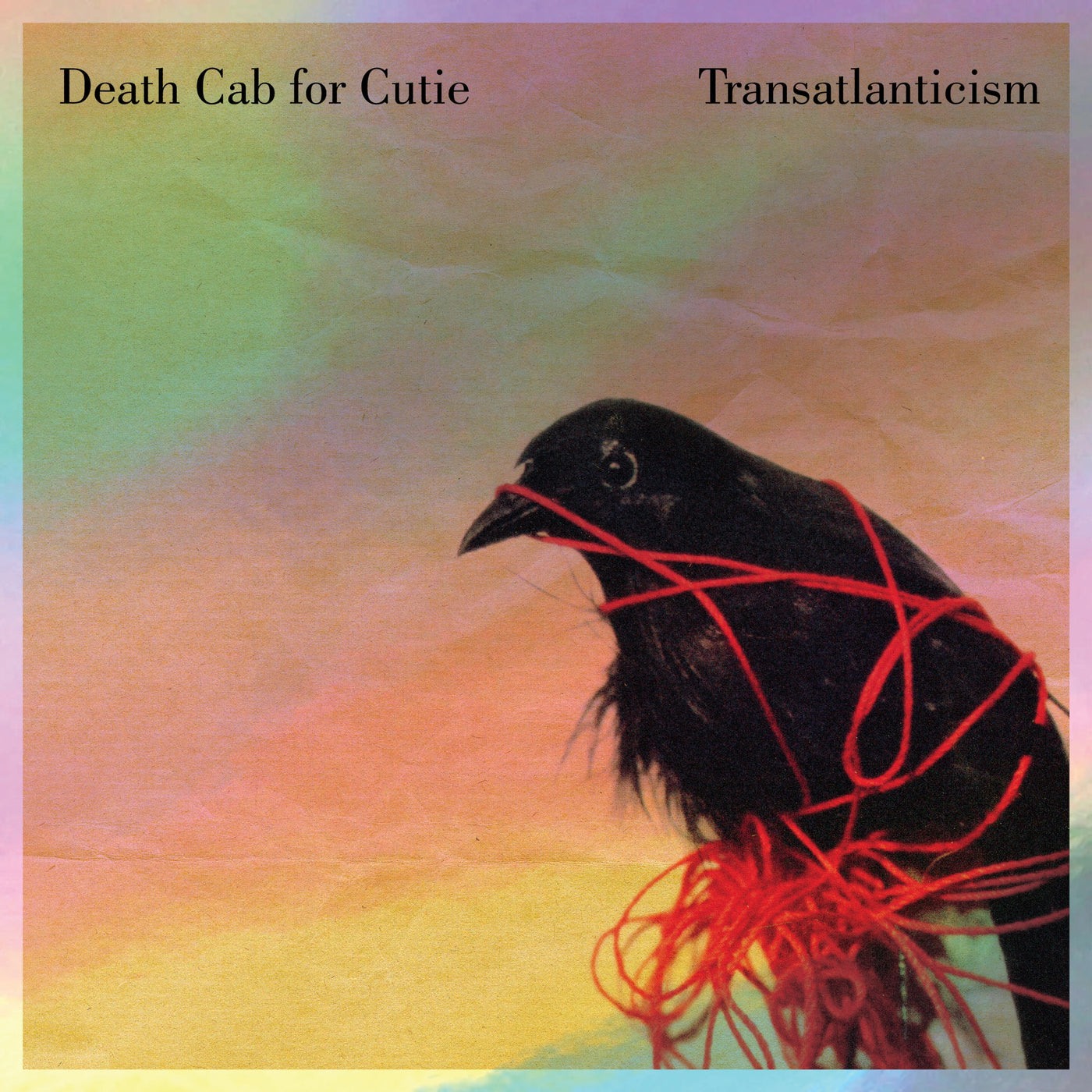 Death Cab for Cutie | Official Merch Store